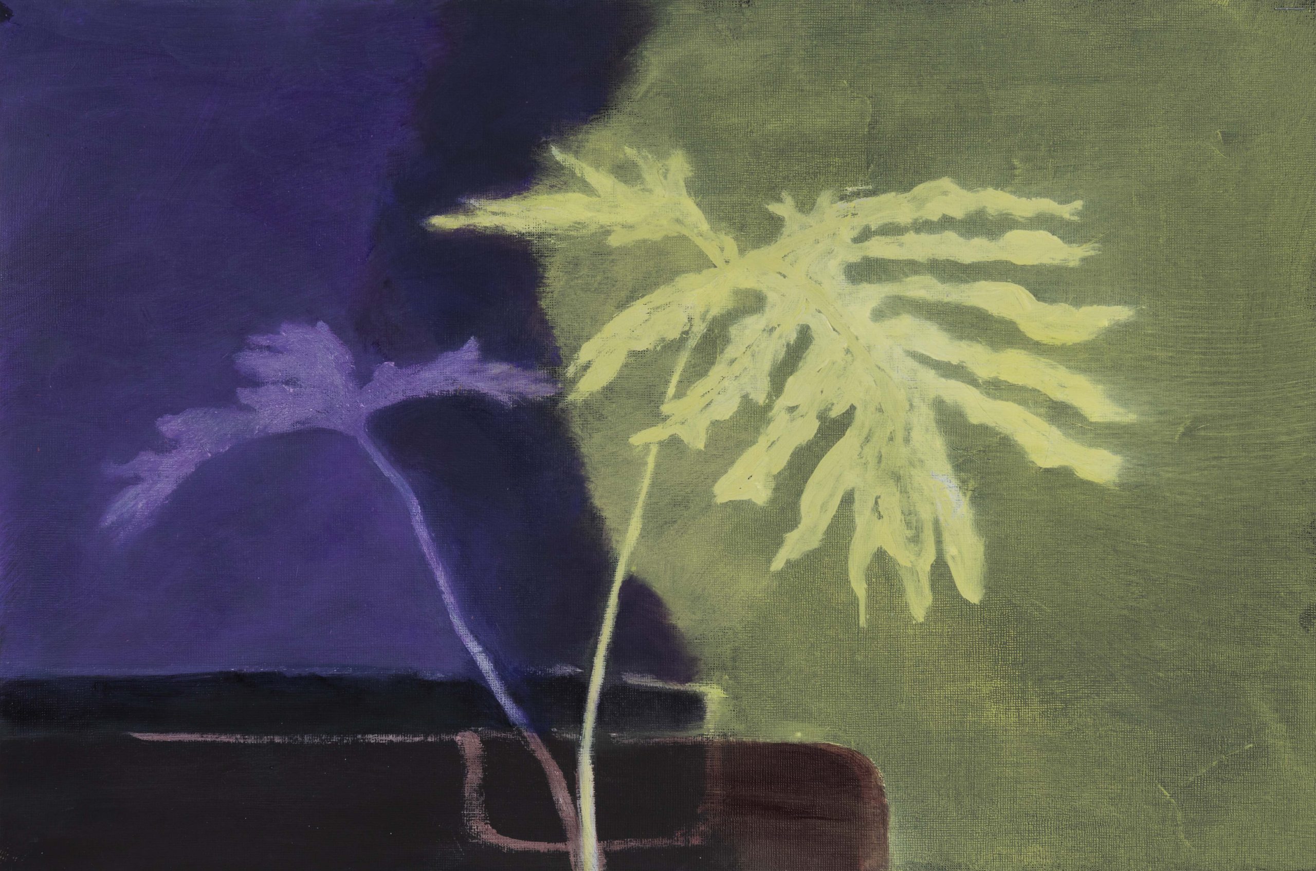 Philodendron | Julie England Art